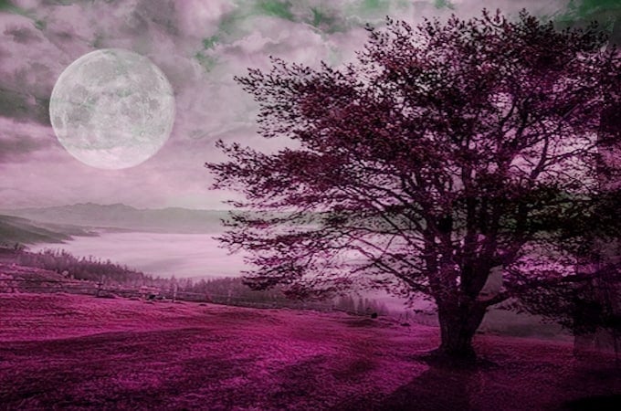 How to Interpret Dreams ~ Journey Into Dreams